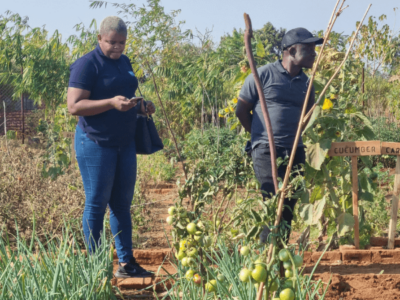GREEN visits Moving Windmills Project in Malawi – GREEN Solar Academy
